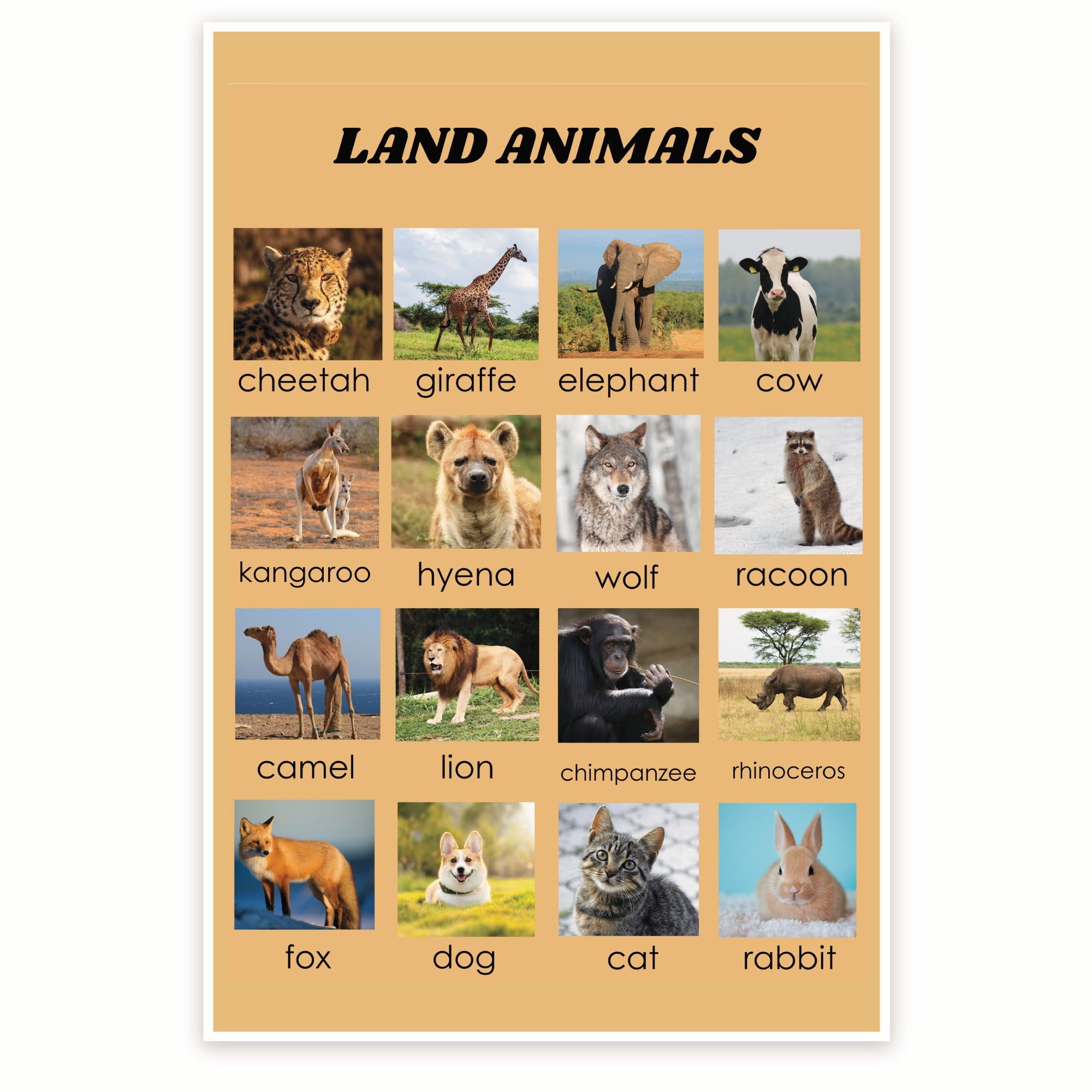 Land Animals Poster - Animal Identification Chart - Wildlife Wall Art ...