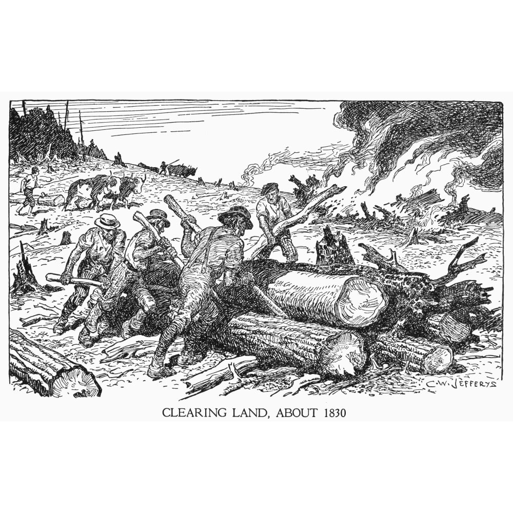 Land Clearing C1830. Nsettlers Clearing The Land For Farming C1830 ...