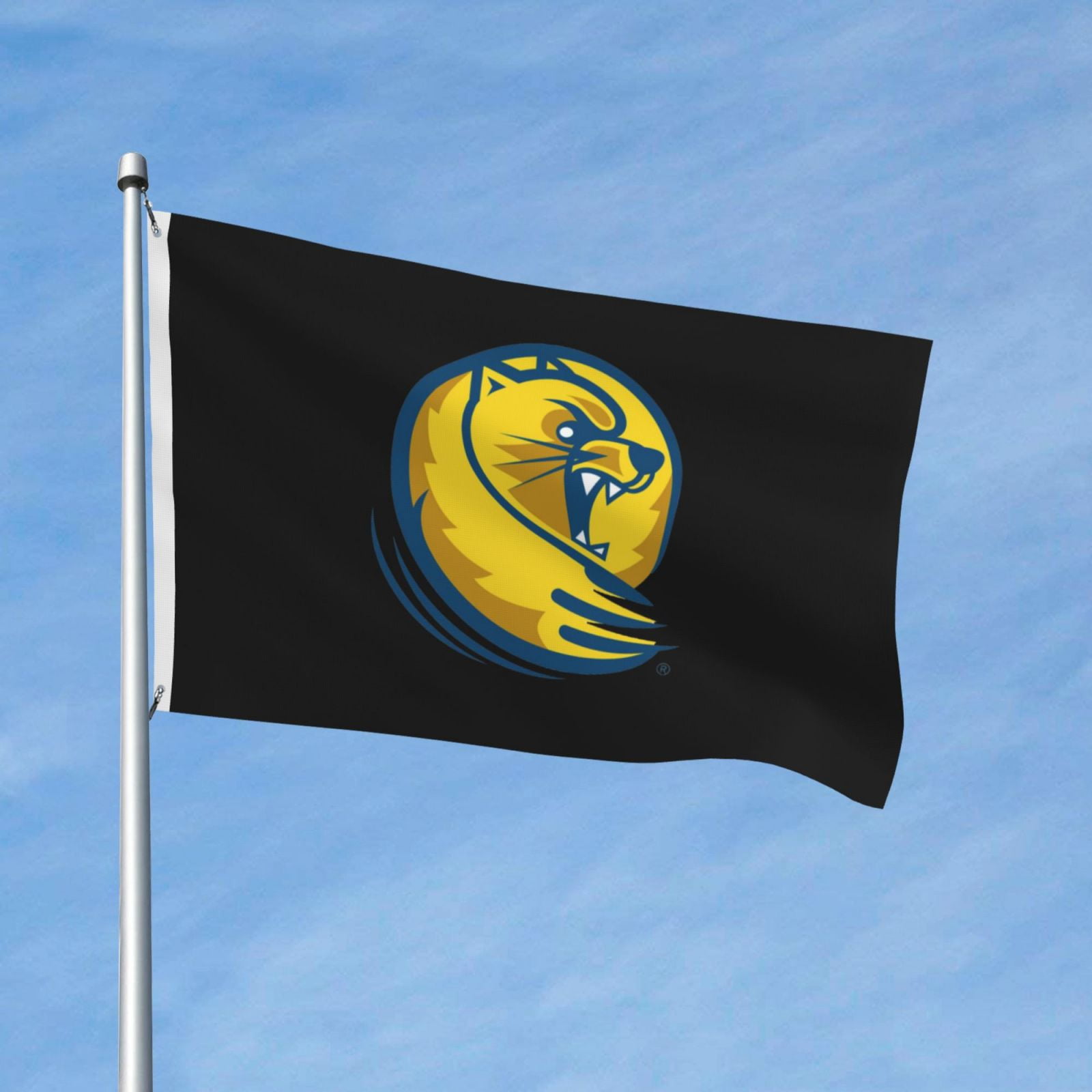 Lander University Logo 3x5 Ft Flag Double Sided Indoor Outdoor Double ...