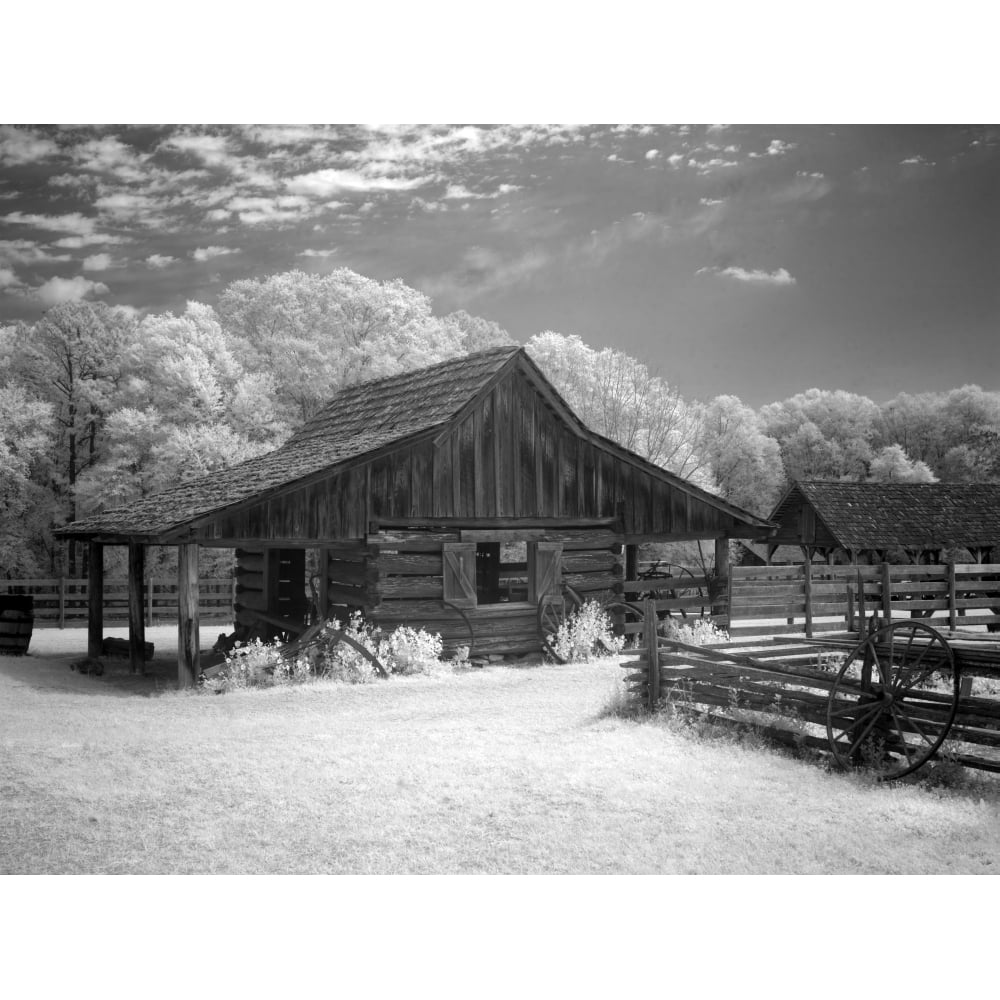 Landmark Park near Dothan Alabama Poster Print by Carol Highsmith ...