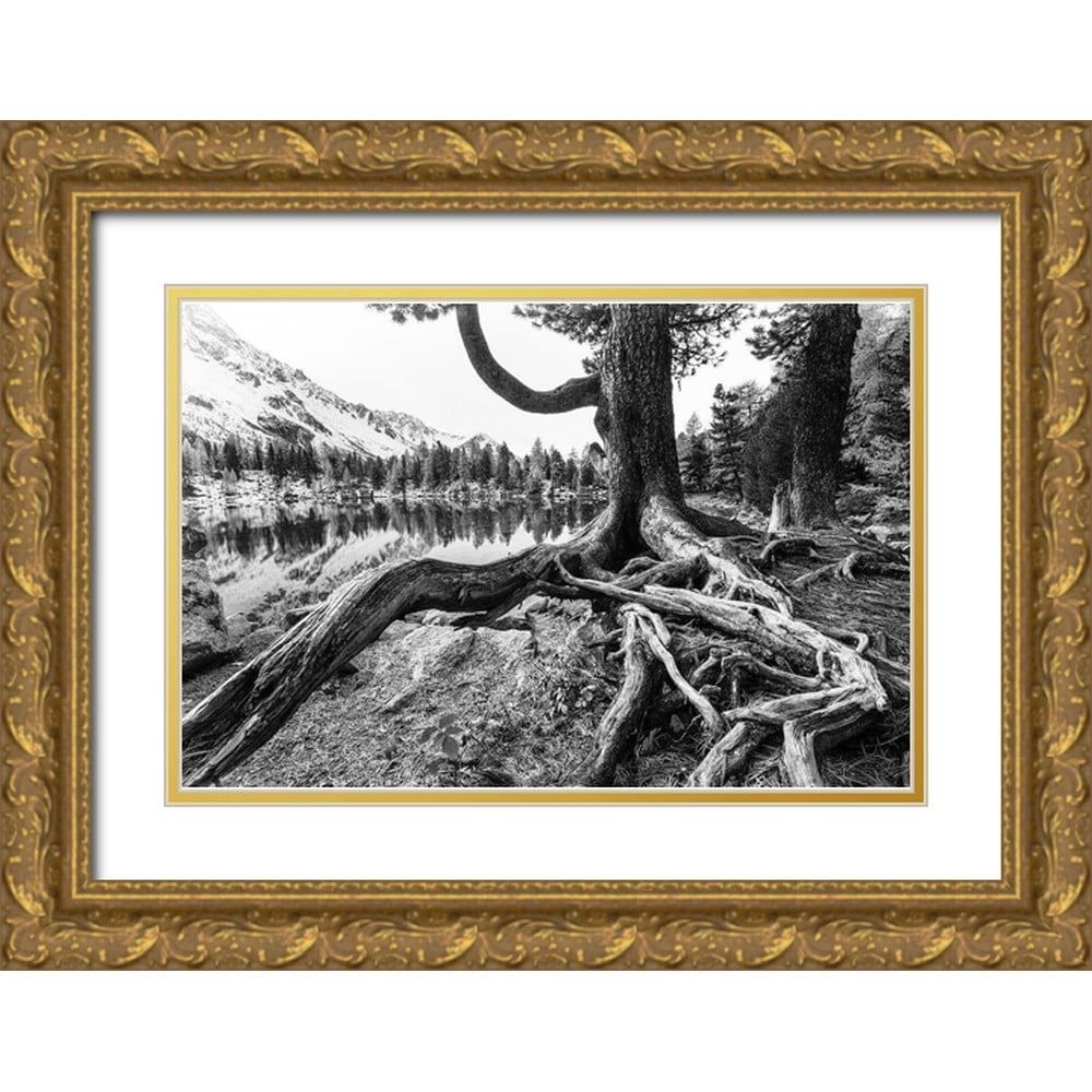 Landolt, Susanne 24x17 Gold Ornate Wood Framed with Double Matting ...