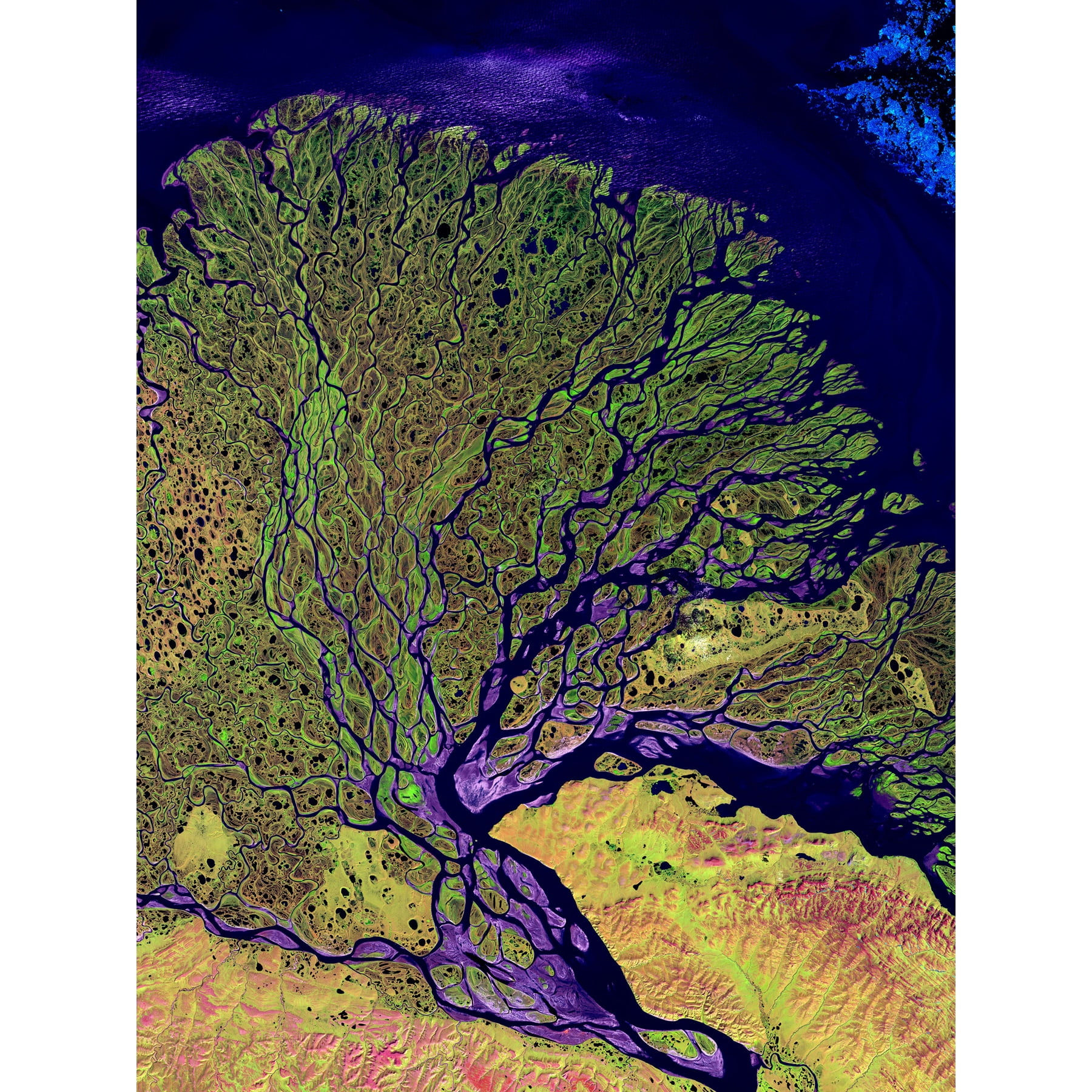 Landsat Satellite Lena River Delta Photo Extra Large XL Wall Art Poster ...