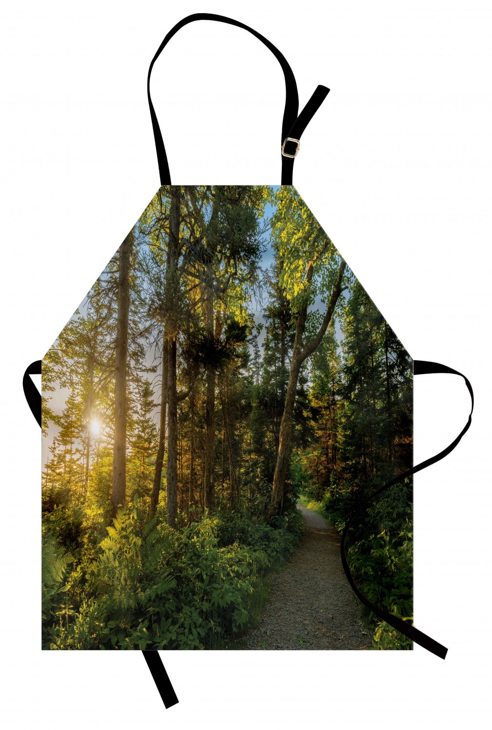 Landscape Apron National Park in Cape Breton Highlands Canada Forest ...