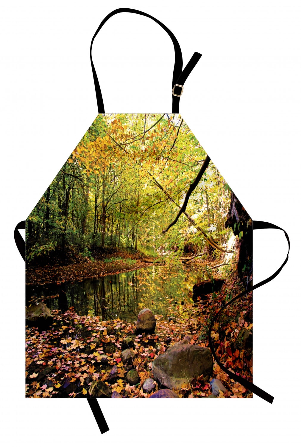 Landscape Apron Pine River in Fall Forest Faded Maple Leaves Deciduous ...