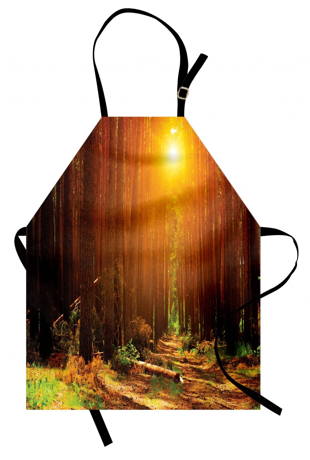 Landscape Apron Sunset Dawn Sun Rise Beams in Forest Tree Nature Plants ...