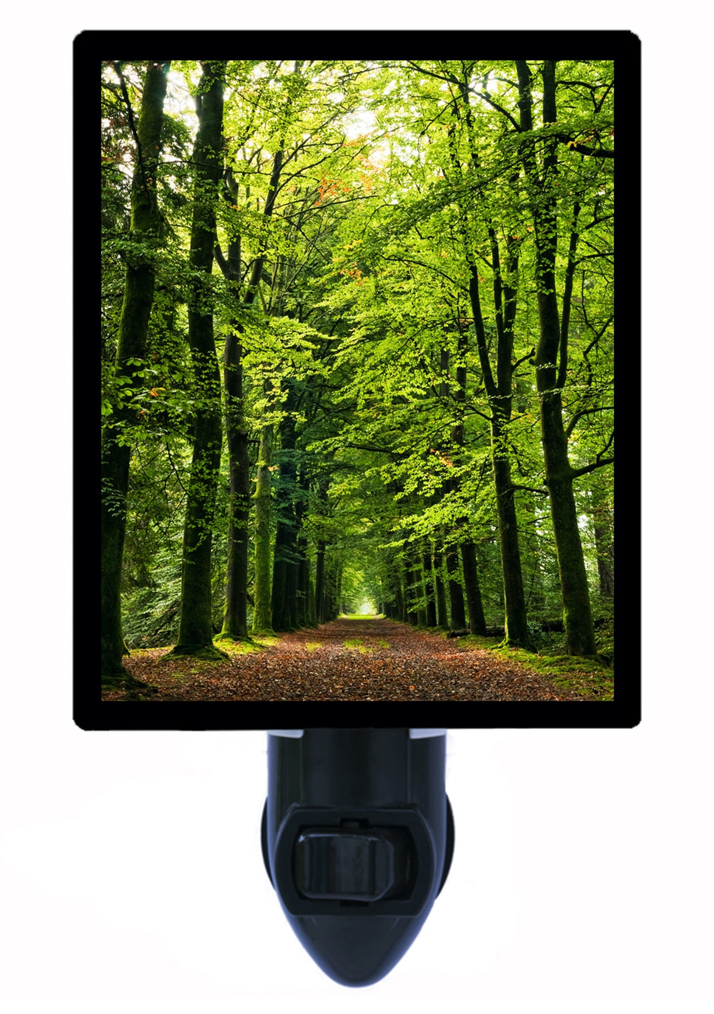 Night Light - Green Pathway. | Landscape Theme, Includes Free ...
