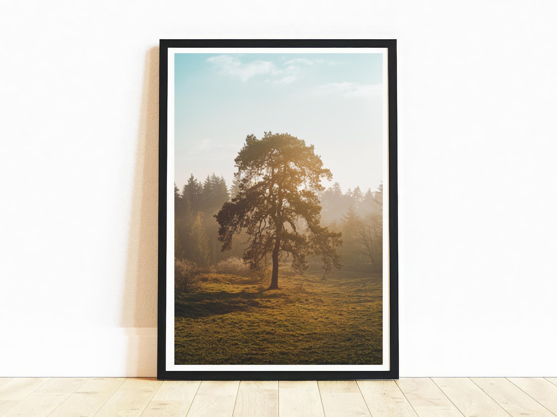 Landscape Poster, Nature Sunshine Poster, Trees, Sky, Poster - Walmart.com