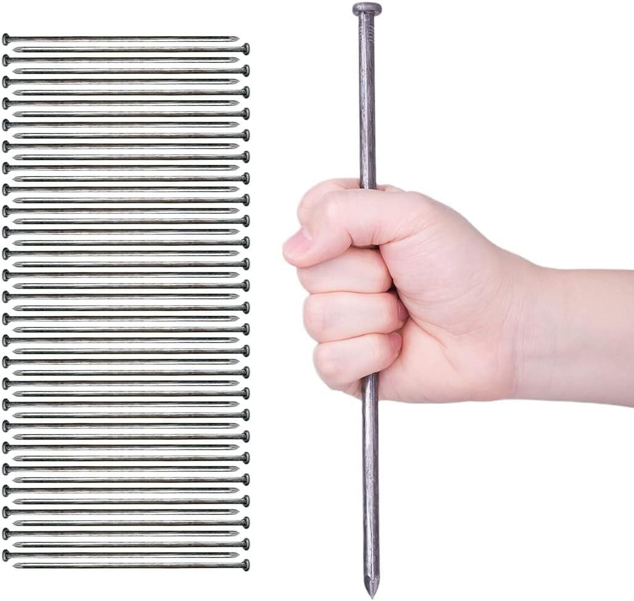 Landscape Spikes 10 Inch 100 Counts Metal Landscape Edging Anchoring ...