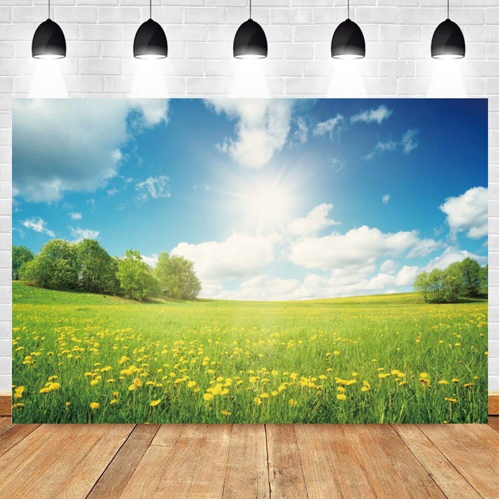 Landscape Spring Tree Green Nature Scenery Flower Grassland Sky Cloud ...