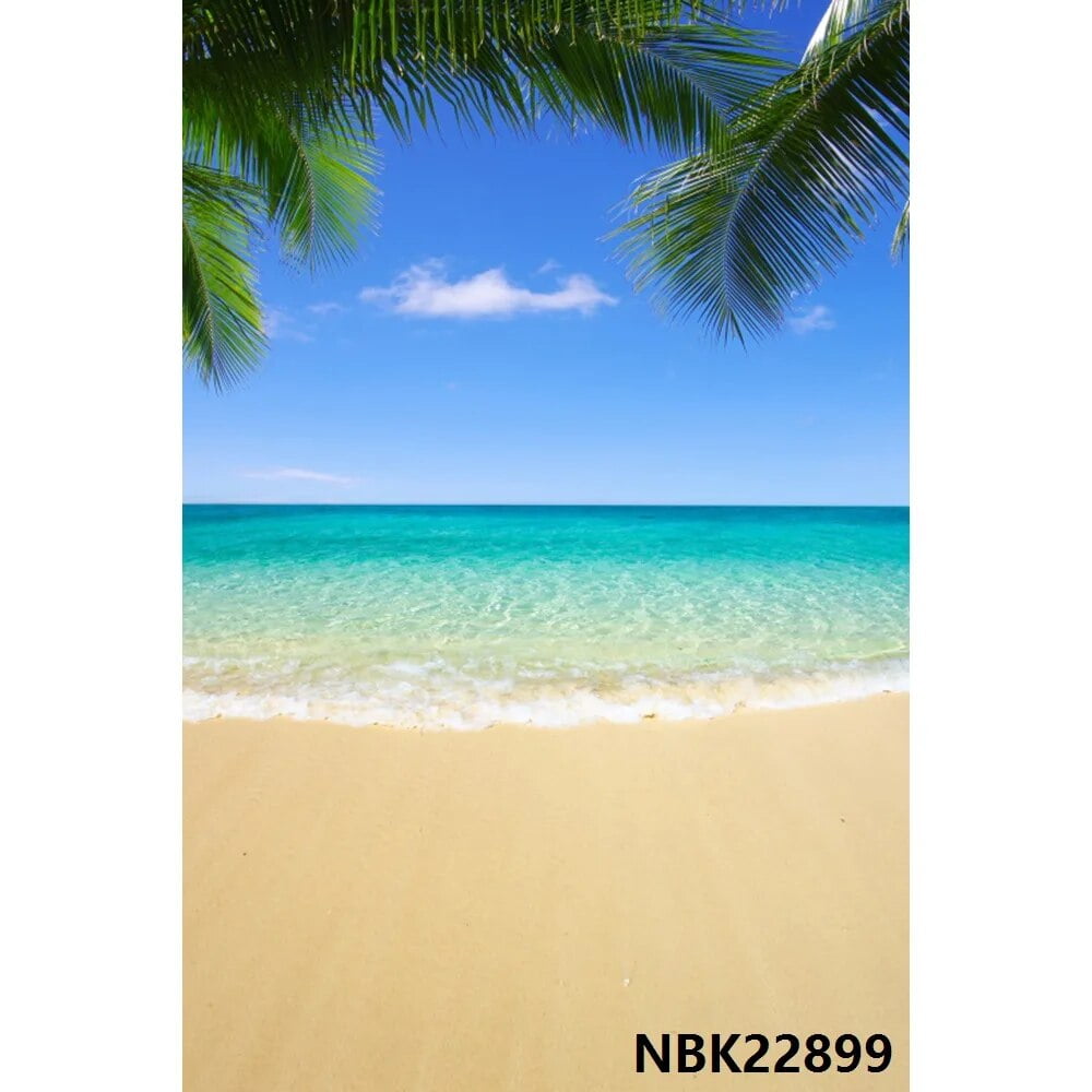 Landscape Summer Seaside Banner Poster Portrait Scene Photographic ...