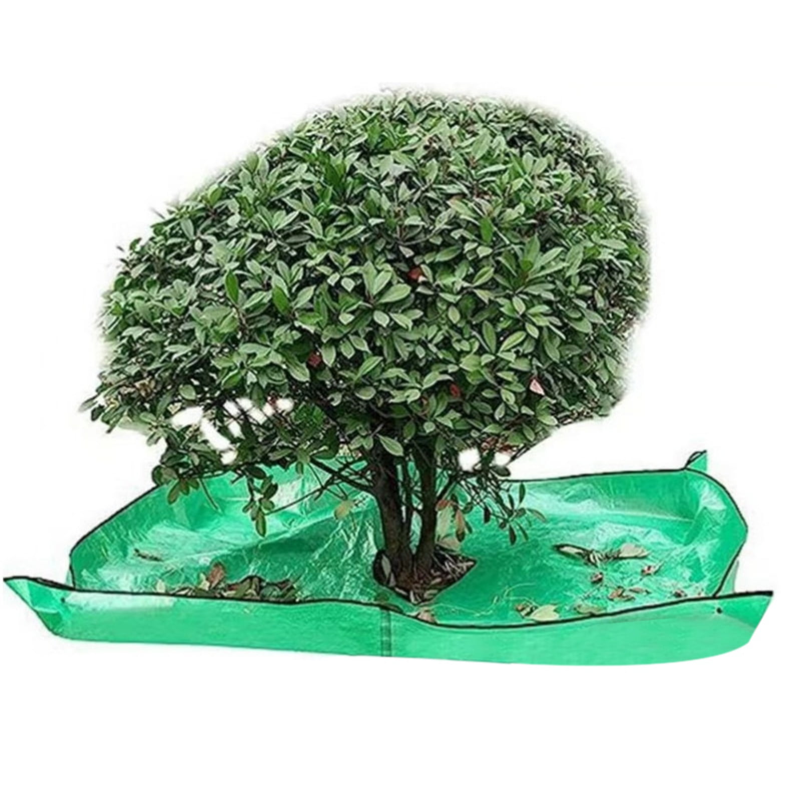Landscape Tarp for Trimming,79"X79" Landscape Pruning Drop Cloth,Four ...