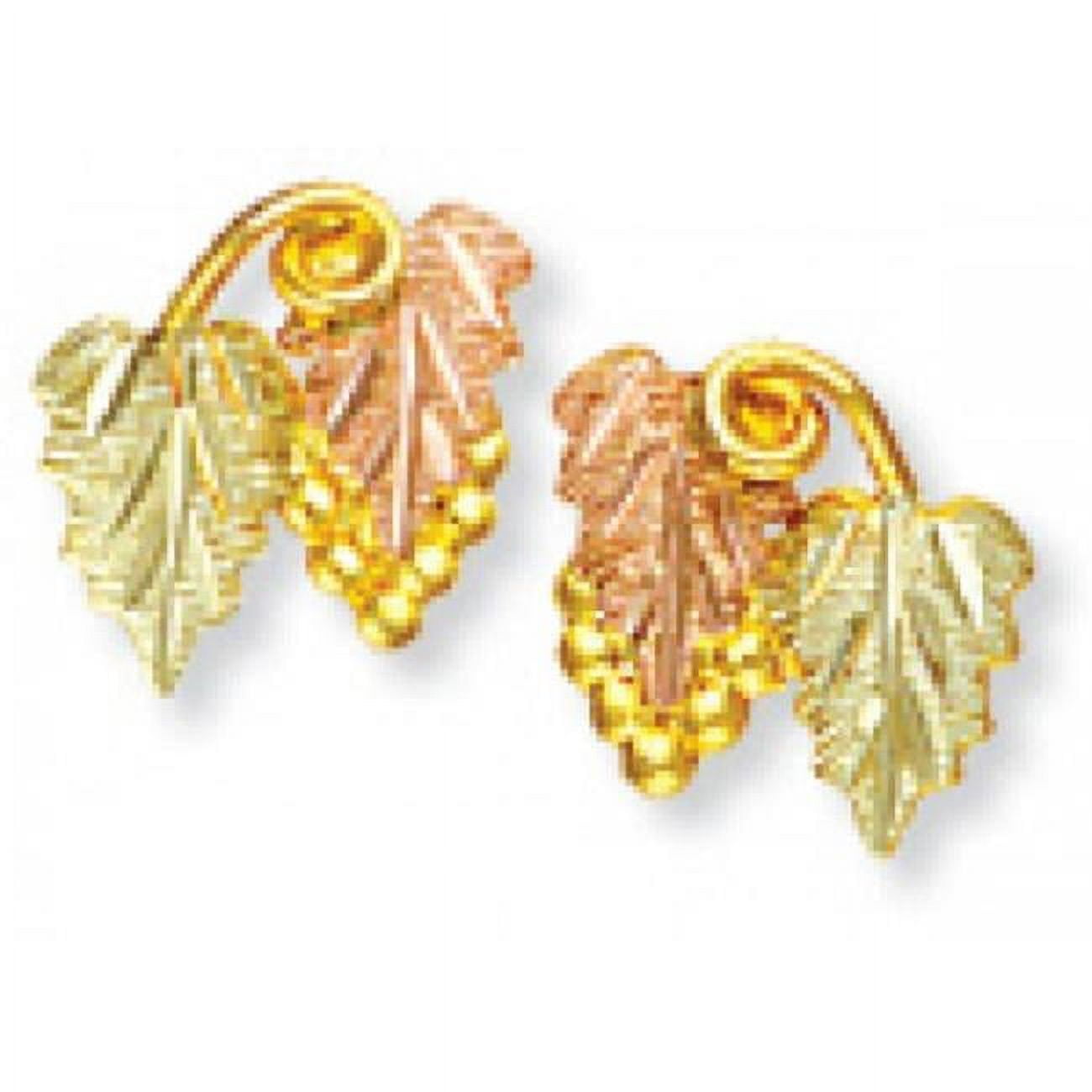 Landstroms Traditional Black Hills Gold Earrings - Walmart.com