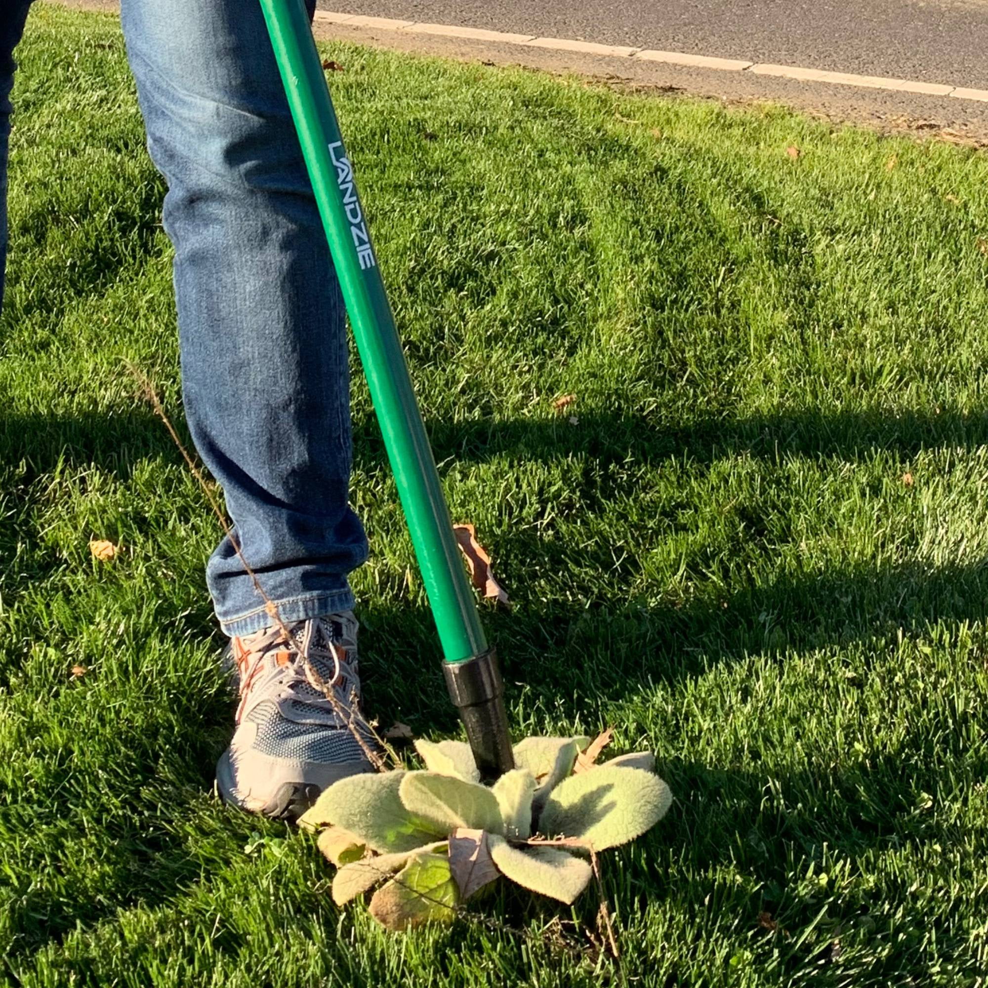 Landzie 44 Inch Detachable Handled Weeder - Stand up Manual Weed Puller ...