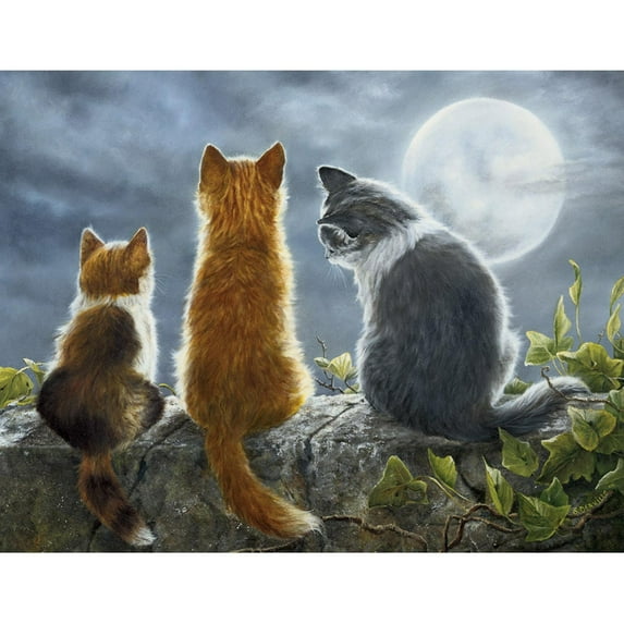 Lang Cat Whisperers Boxed Note Cards - Walmart.com