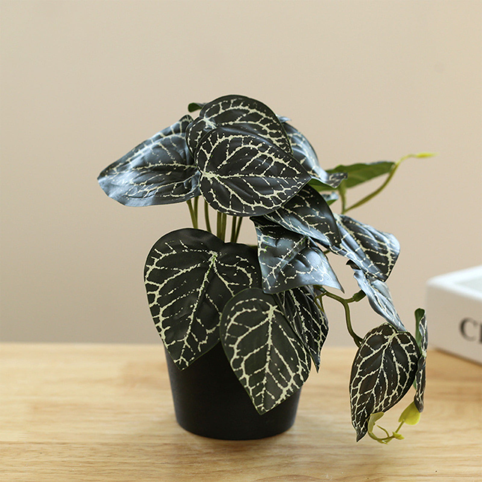 LangPing Artificial Fittonia Verschaffeltii Potted Plant, Small ...