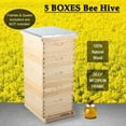 Langstroth Hive Frame/Bee Hive Frame/Beehive Frames w/ Metal Roof for ...