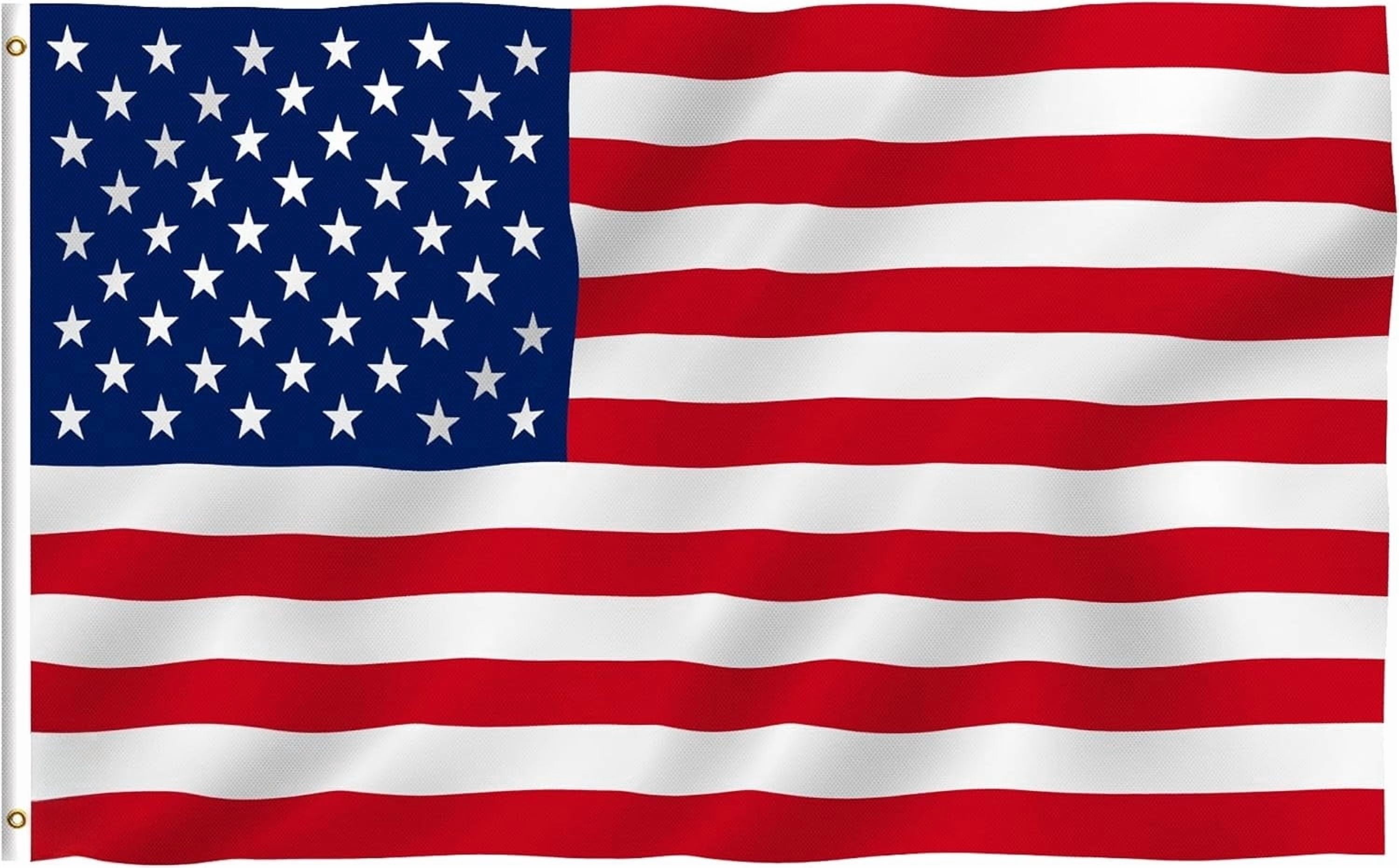 Lanola Fly Breeze 3x5 Foot American National Polyester Flag - Vivid ...