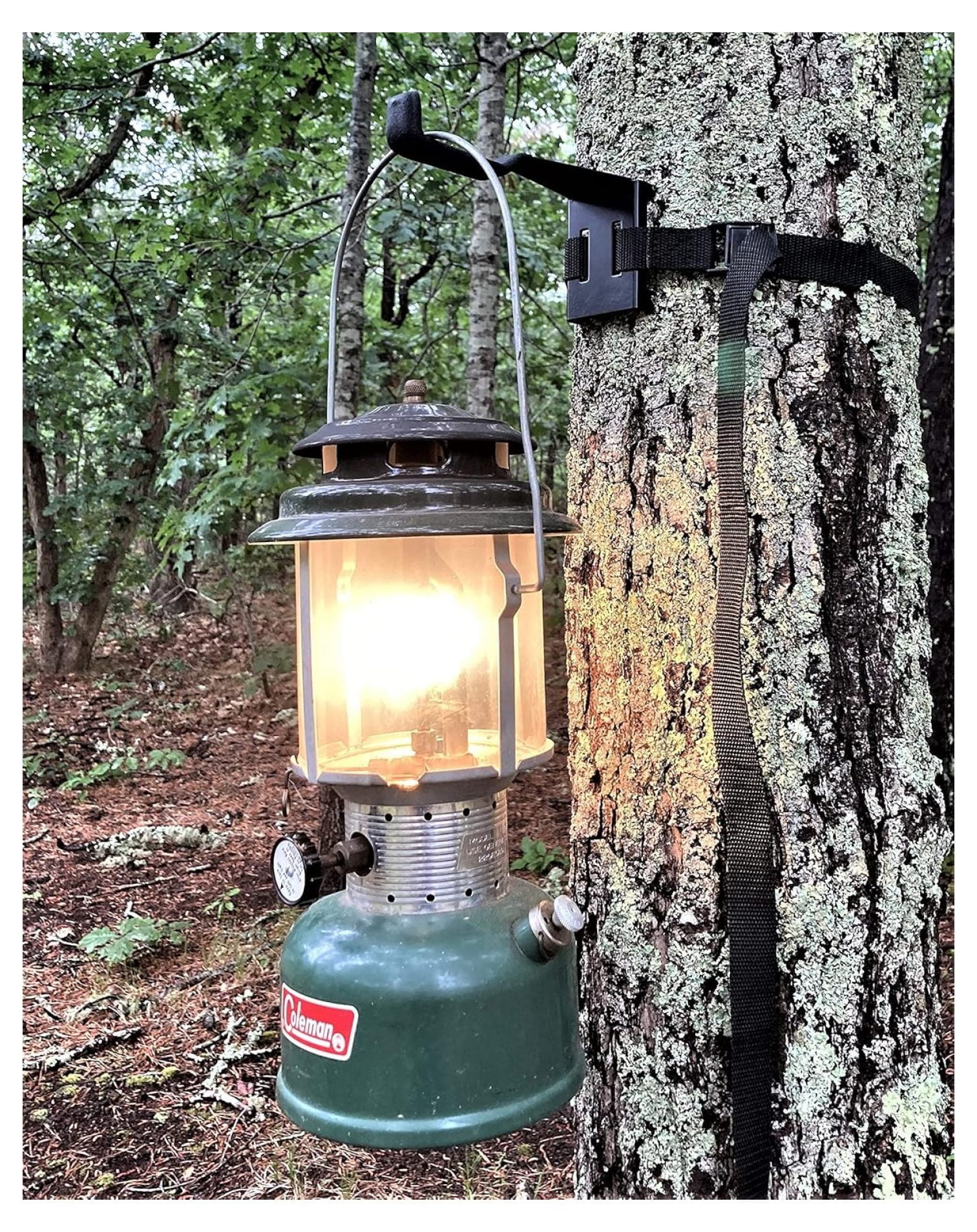 Lantern Hanger - Buy The Best Lantern Hanger in The World ! Finally A ...