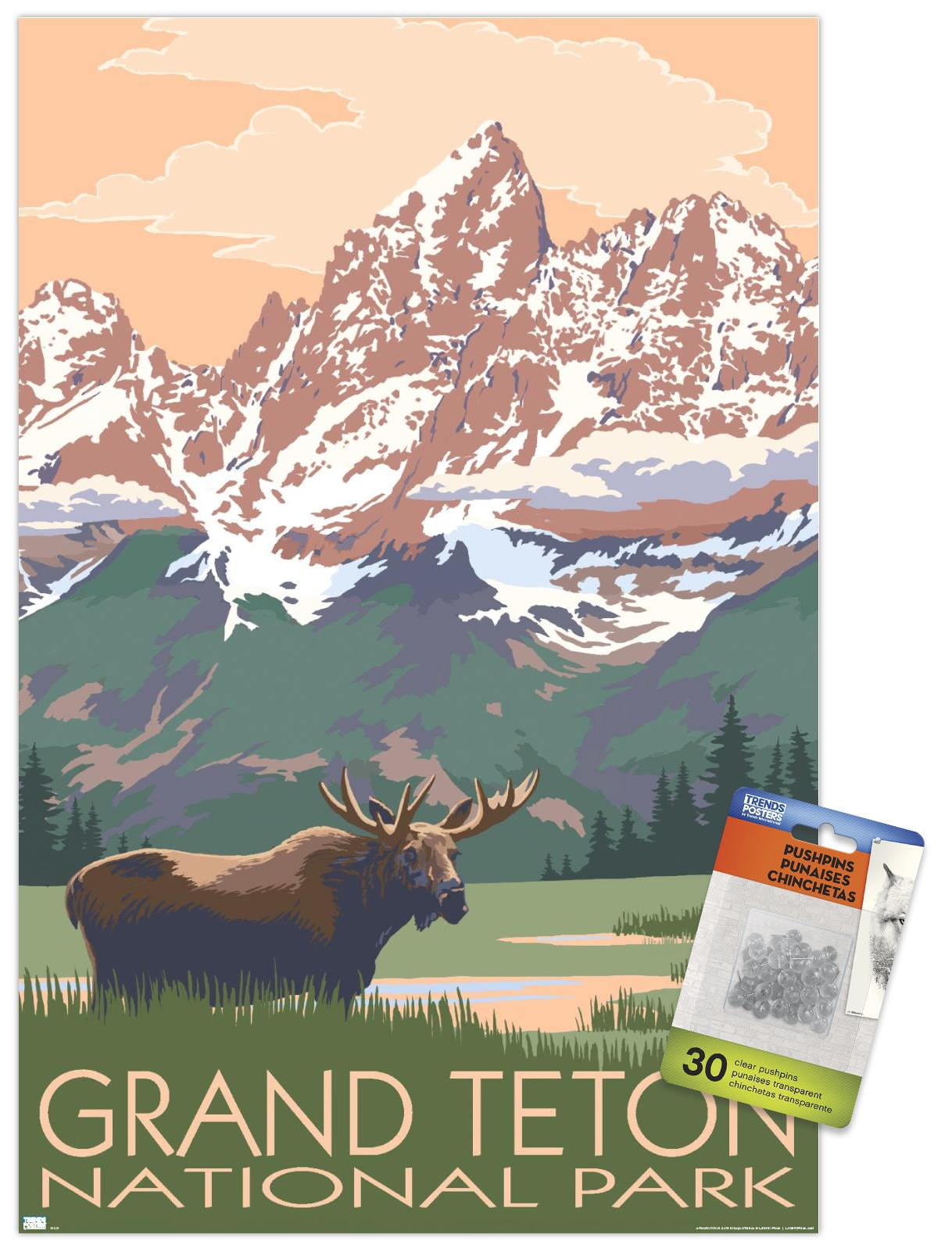 Lantern Press - Grand Teton National Park, Wyoming, Moose & Mountains ...