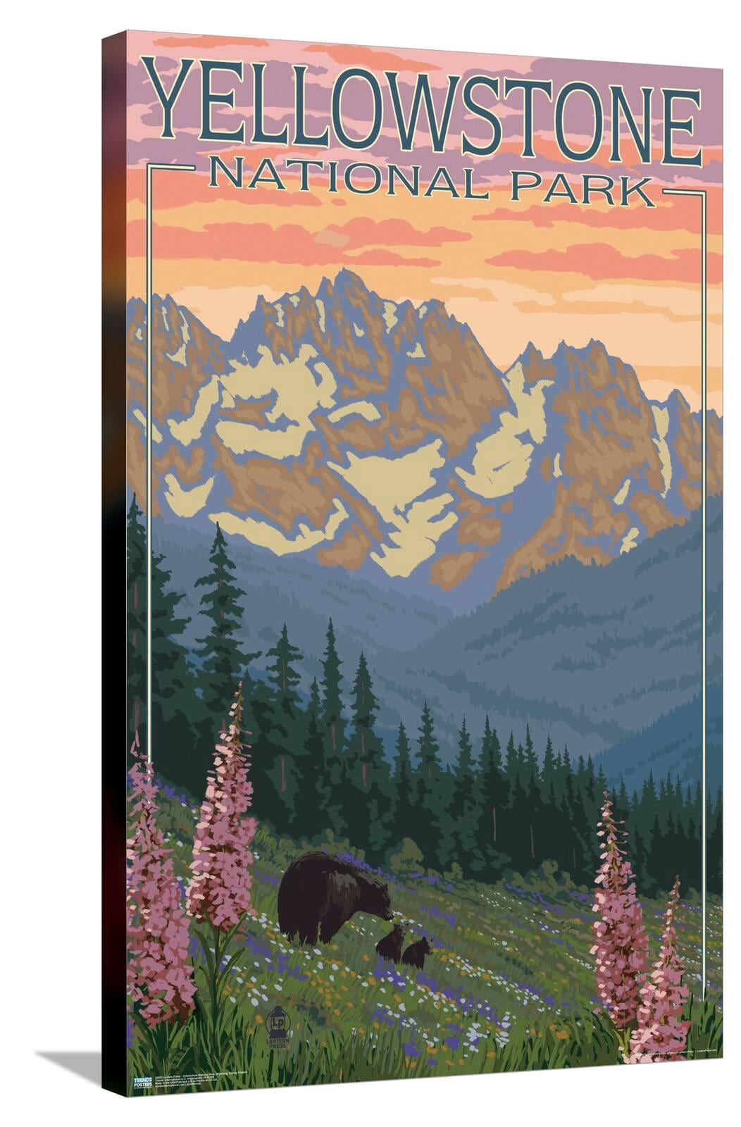 Lantern Press - Yellowstone National Park, Wyoming, Spring Flowers ...