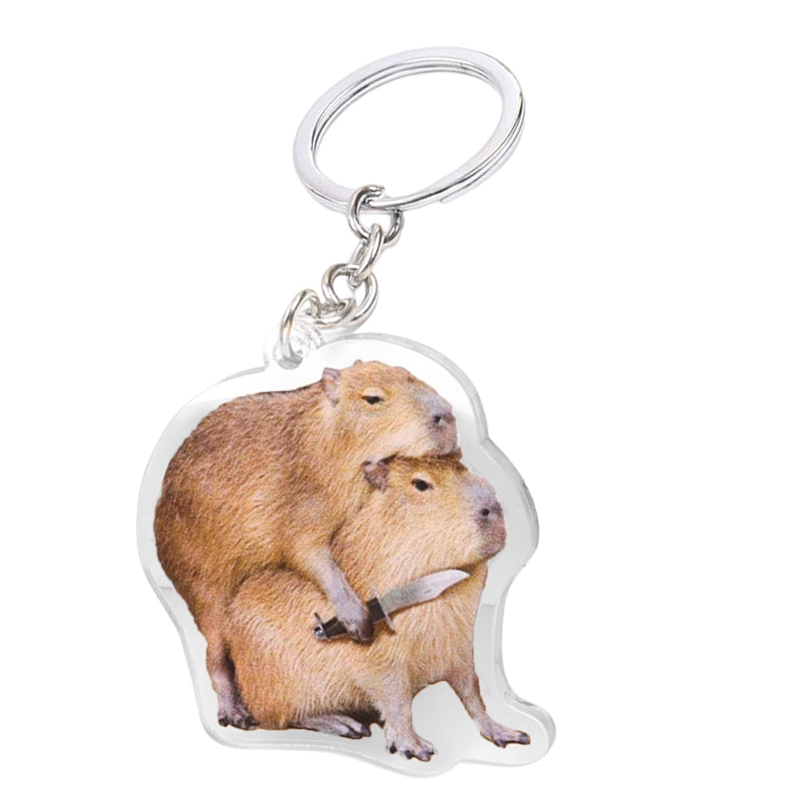 Lanyards for Keys for Women Wallet on Chain Women Capybara New Water Dolphin Keychain Cute ...