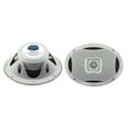 Lanzar 500 Watts 6"X9" 2-Way Marine Speakers (White Color) - Walmart.com