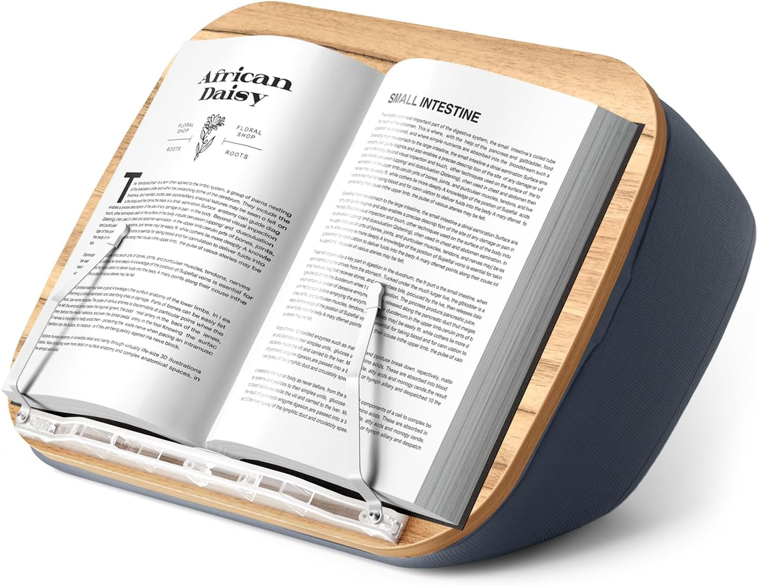 Lap Beanbag Book Stand for Hands Free Reading Comfortable Reading ...