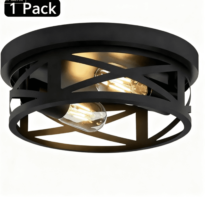 LapEasy Flush Mount Ceiling Light Fixture, 2-Light Ceiling Light ...