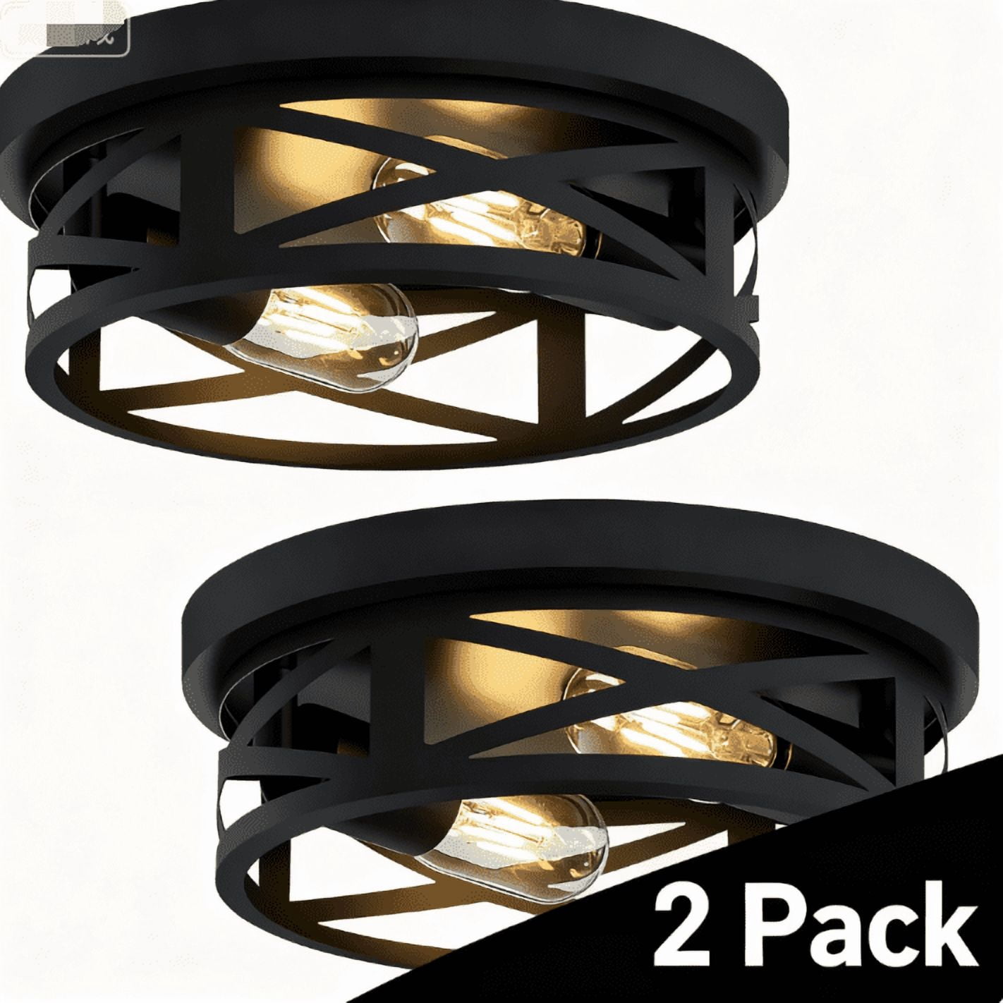 LapEasy Flush Mount Ceiling Light Fixture, 2-Light Ceiling Light ...