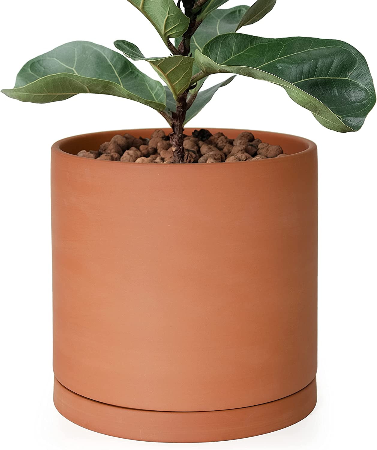Large 10 Inch Terracotta Plant Pot with Drainage Hole and Saucer, Round ...