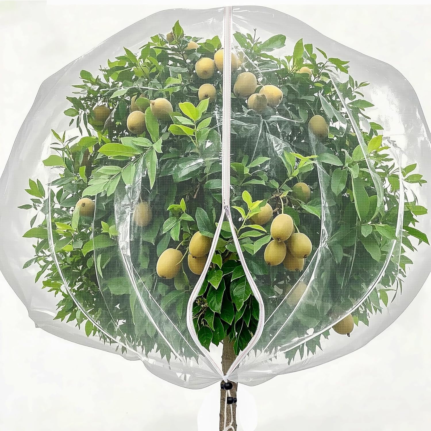Large 12 x 12ft Fruit Tree Netting Bags with Zipper Drawstring, Bird ...