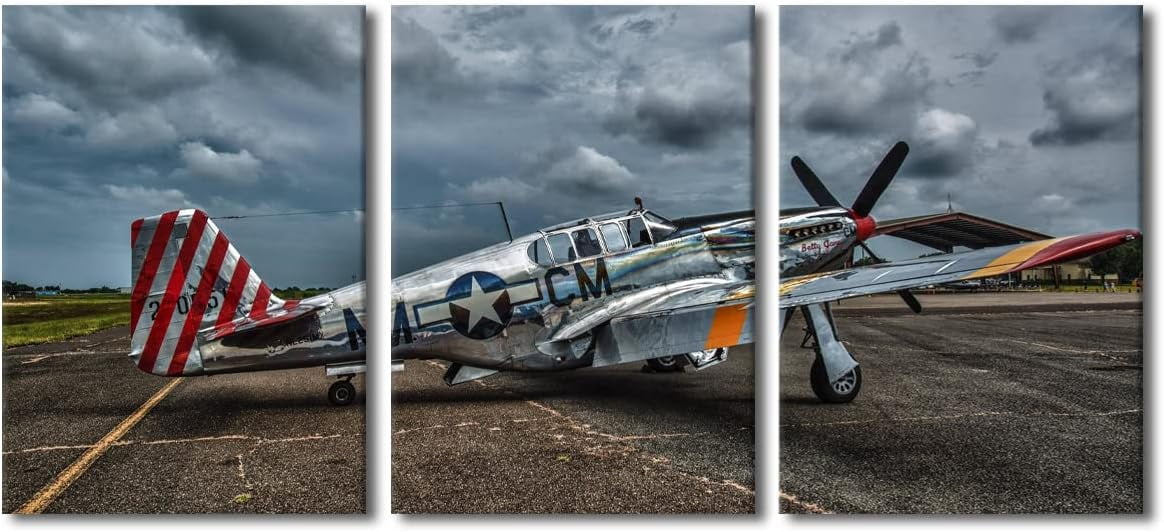 Large 3 Piece Canvas Wall Art Airplane Pictures Black and White ...