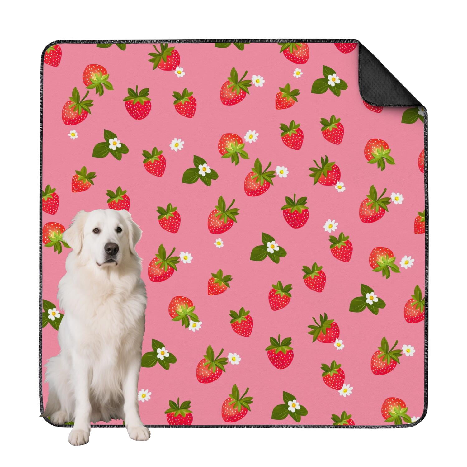 Large 72"x72" Washable Pee Pads with Fruits Design, Reusable Potty ...