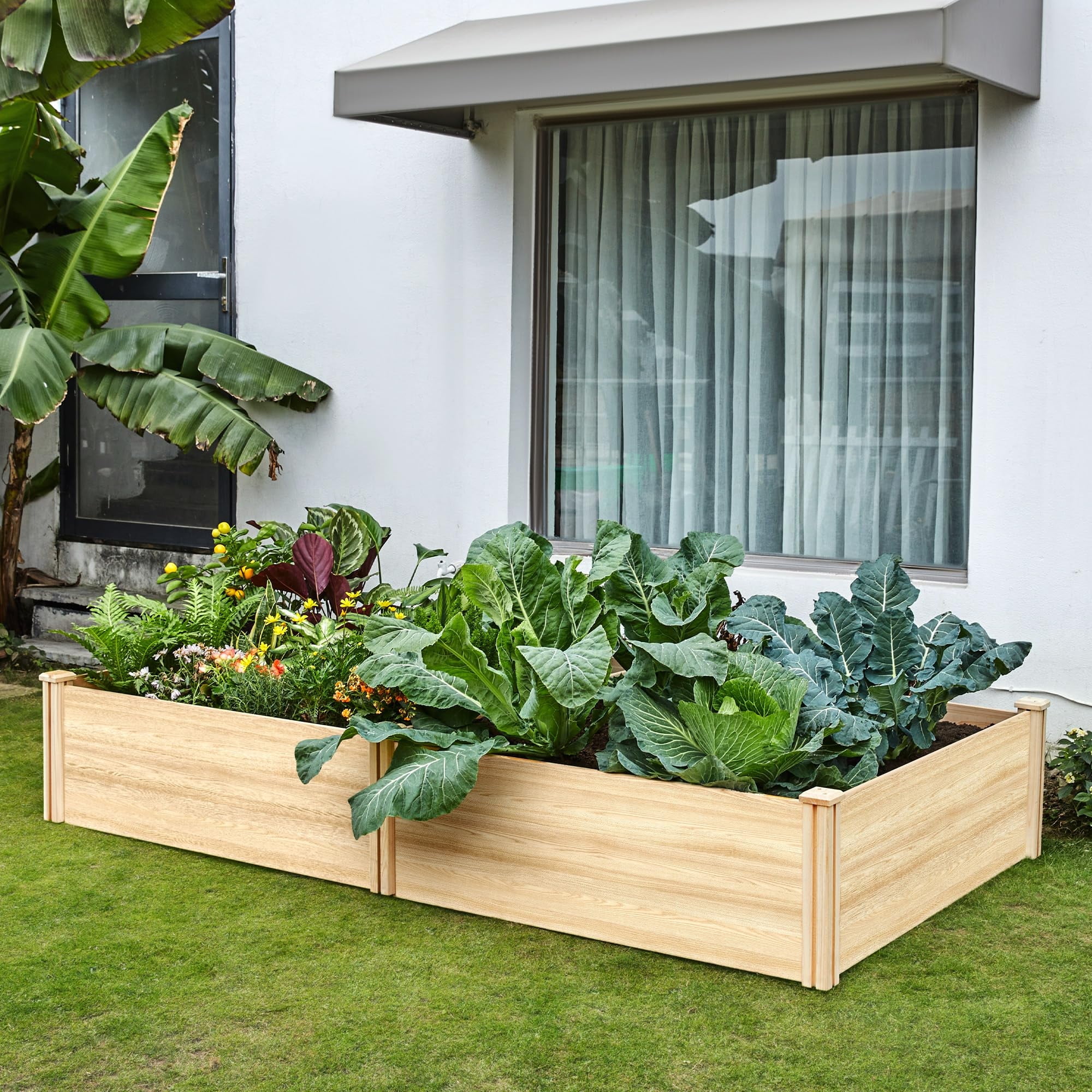 Large 8x4 Ft Raised Garden Bed, 15 Inch Depth Wood Planter Box for ...