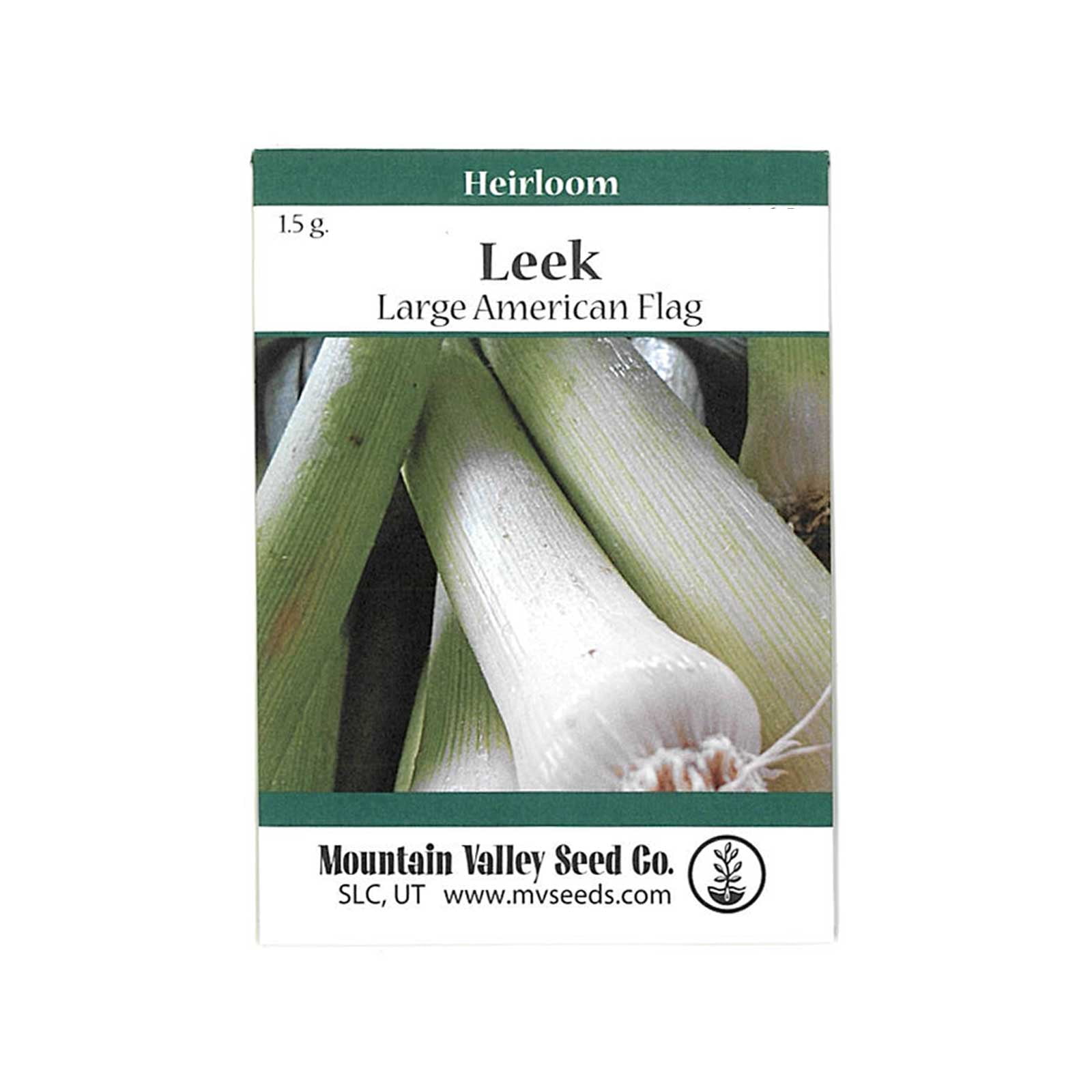 Large American Flag Leek Garden Seeds for Planting: 1.5 Gram Non-GMO ...