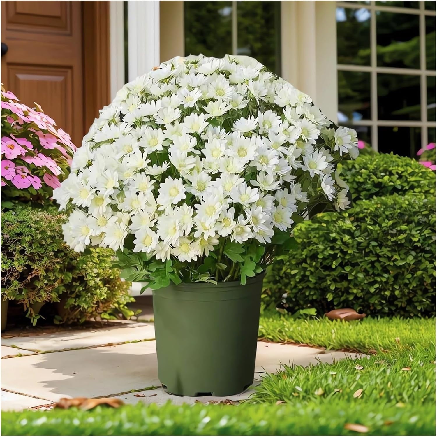 Large Artificial Outdoor Sunset Mums Flowers UV Weather Resistant ...