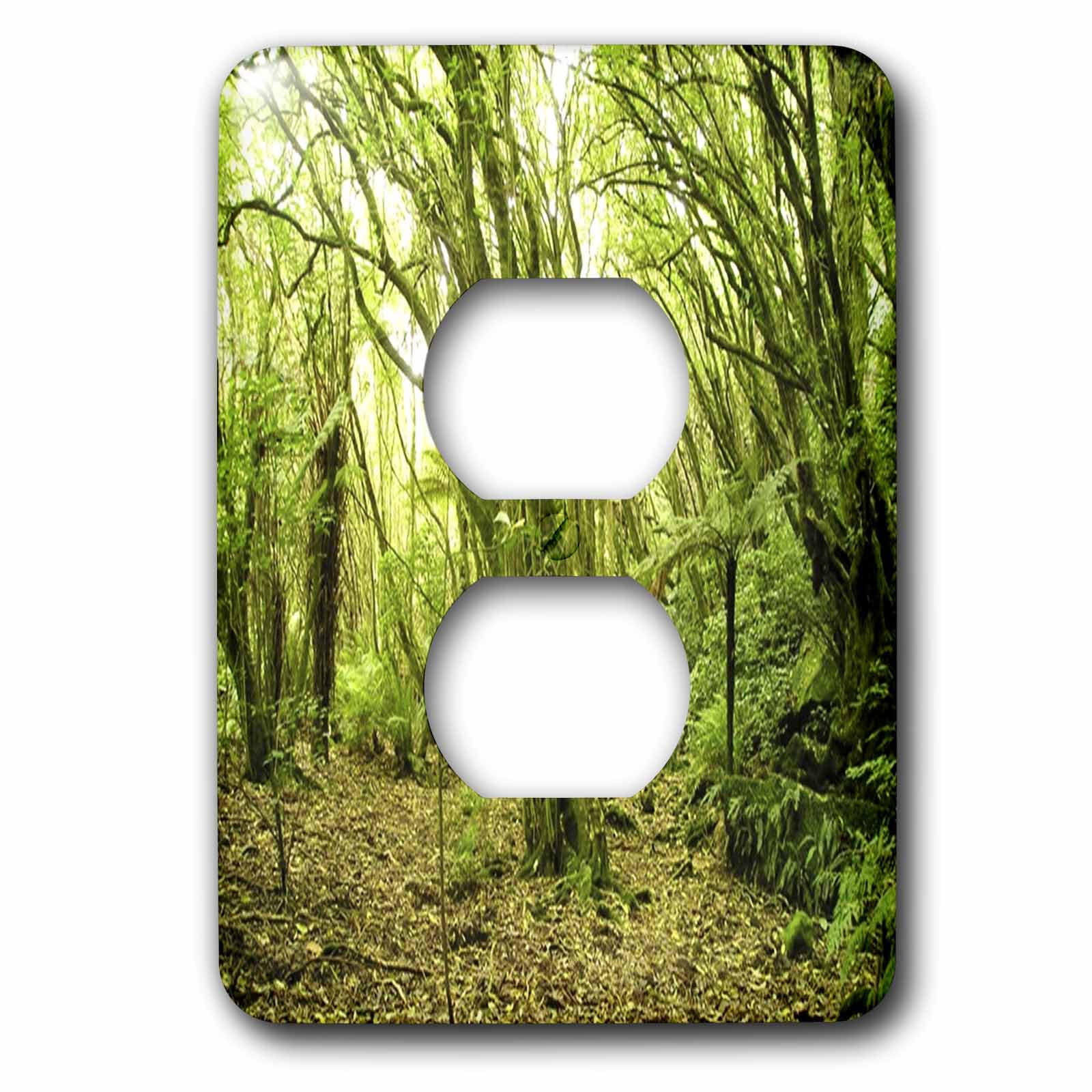3dRose, Large Bamboo Forest, 2 plug outlet cover - Walmart.com