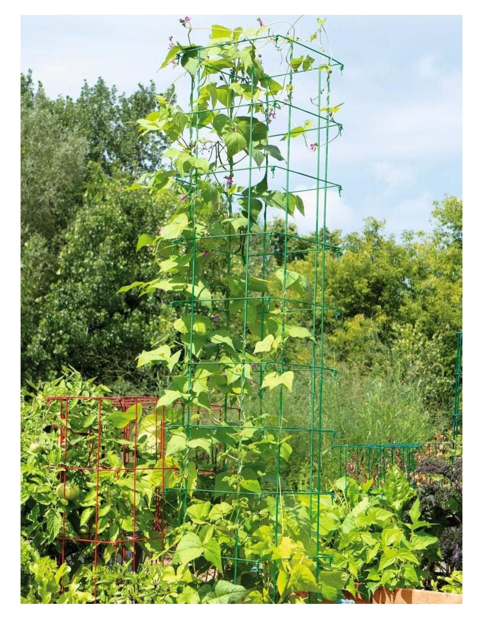 - Large Bean Tower Plant Support - Sturdy Weatherproof Outdoor Beans ...
