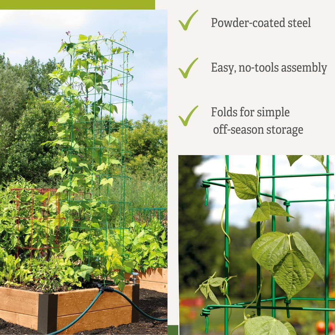 Large Bean Tower Plant Support, Sturdy Weatherproof Outdoor Beans ...