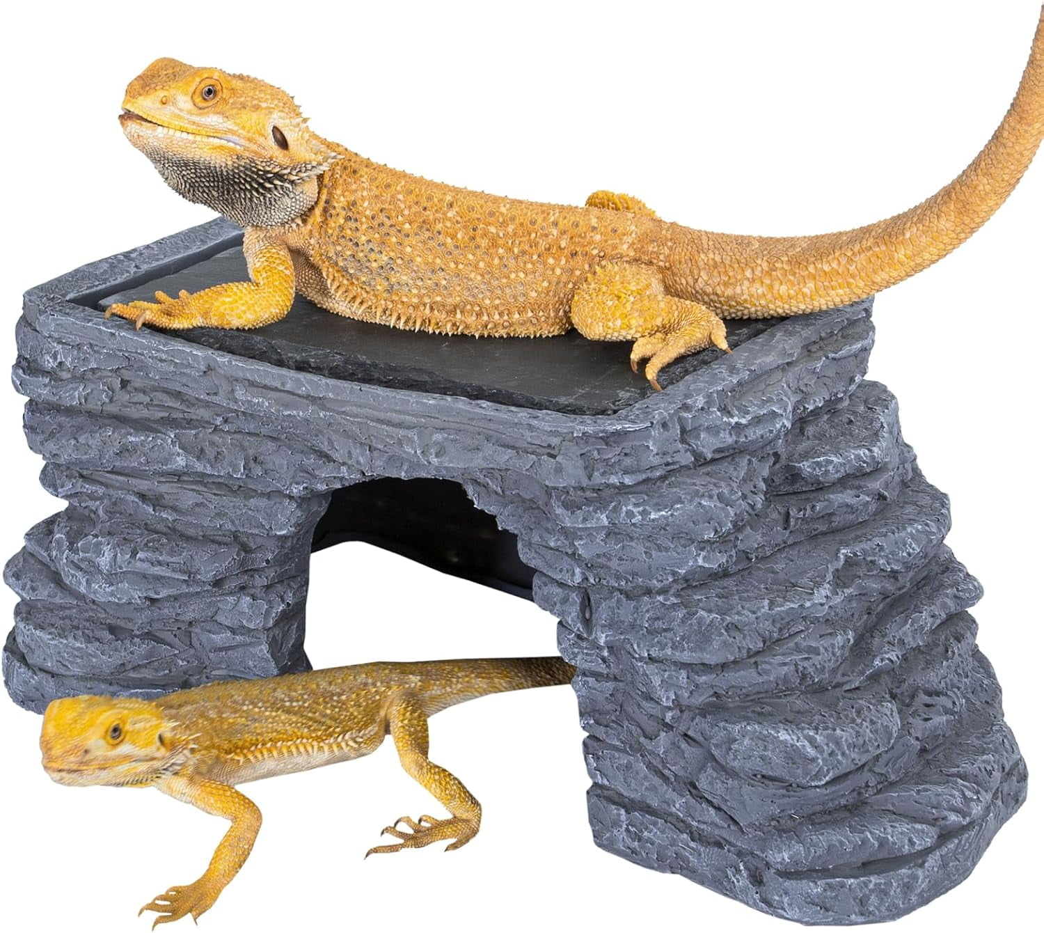Large Bearded Dragon Basking Platform, inch Gecko Hide Cave with Heat ...