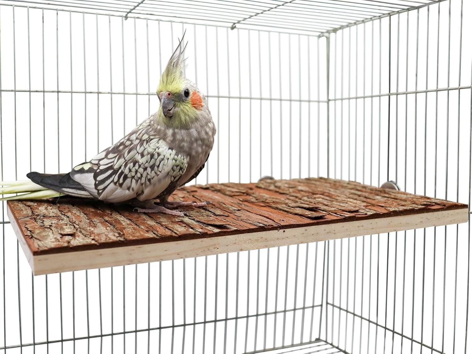 Large Bird Perch Stand Platform, Natural Wooden Cage Accessories ...