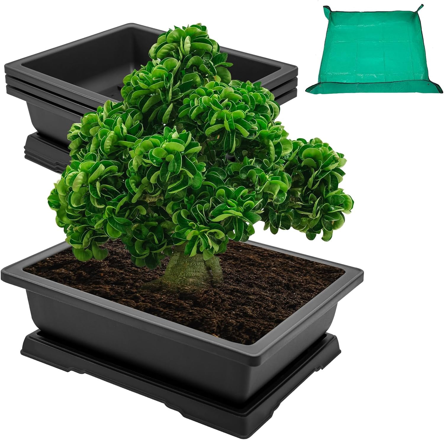 Large Bonsai Training Pots 3 Packs 14 Inch with Drainage Humidity Trays ...