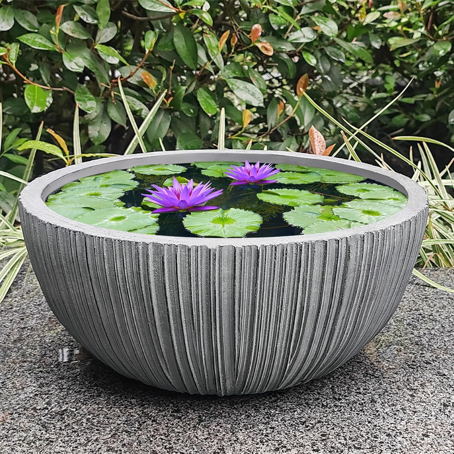 Large Bowl Planter, 17, 14, 11 Inch Wide Shallow Plant Pot, Indoor ...