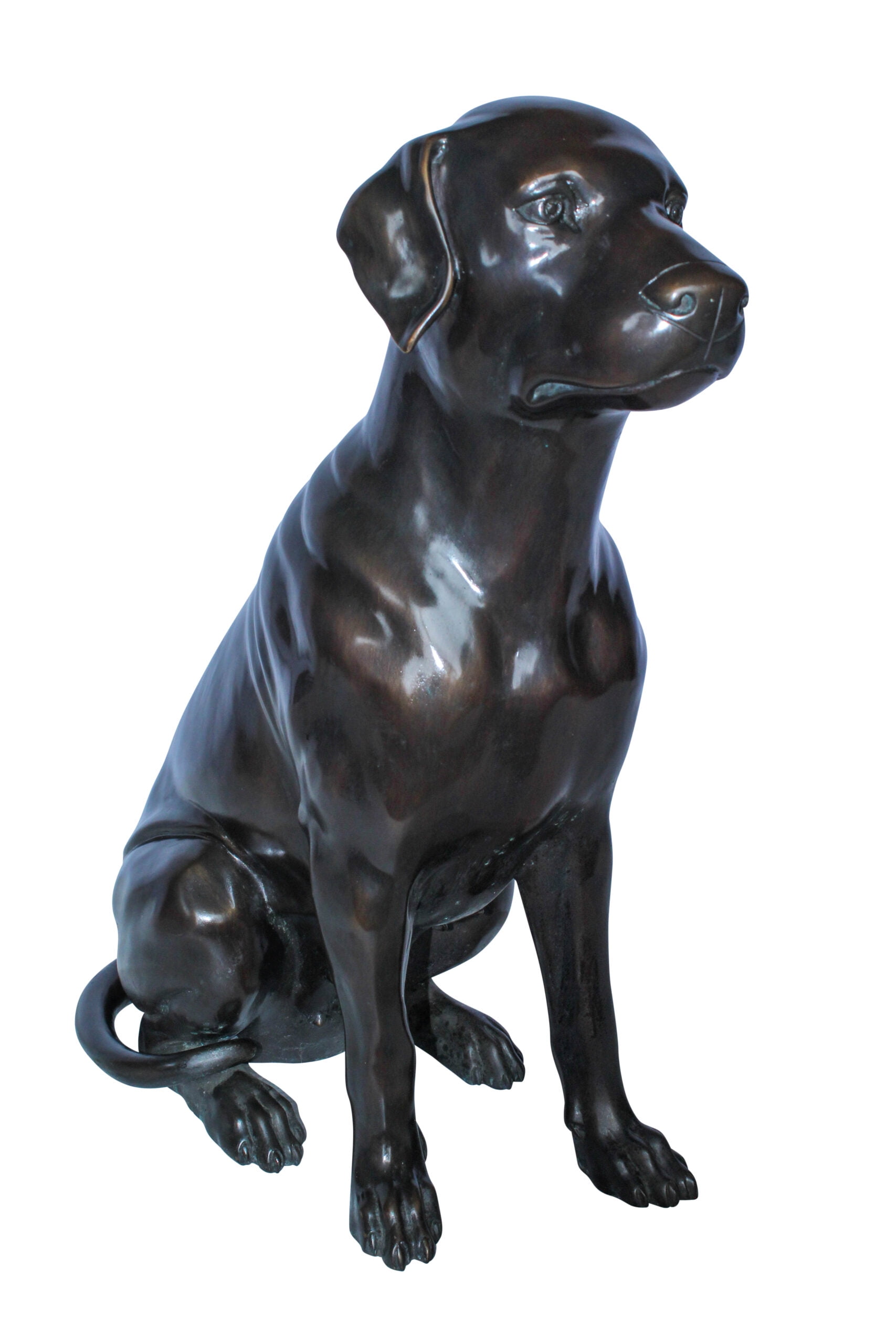 Large Bronze Chocolate Labrador Dog Statue Sitting Pose 22" x 12" x 27 ...