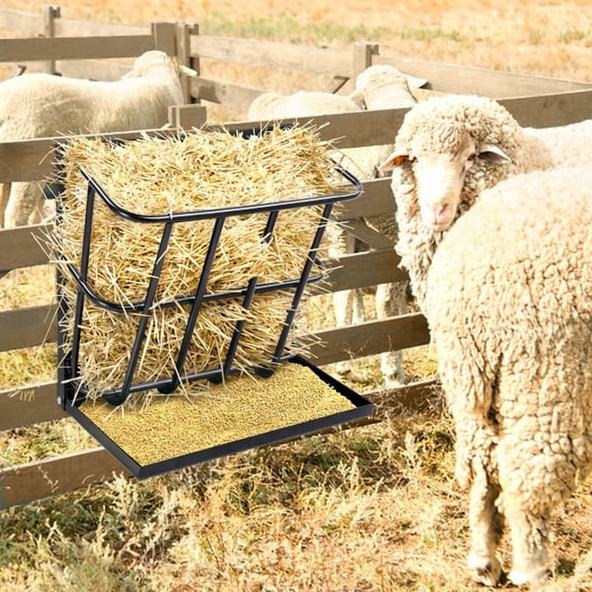 Large Capacity 2-in-1 Hay Feeder w/ Detachable Grain Tray - Heavy Duty ...