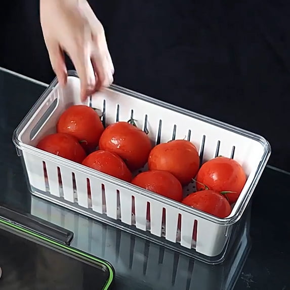 Large Capacity Food Storage Container with Draining Insert - Airtight ...