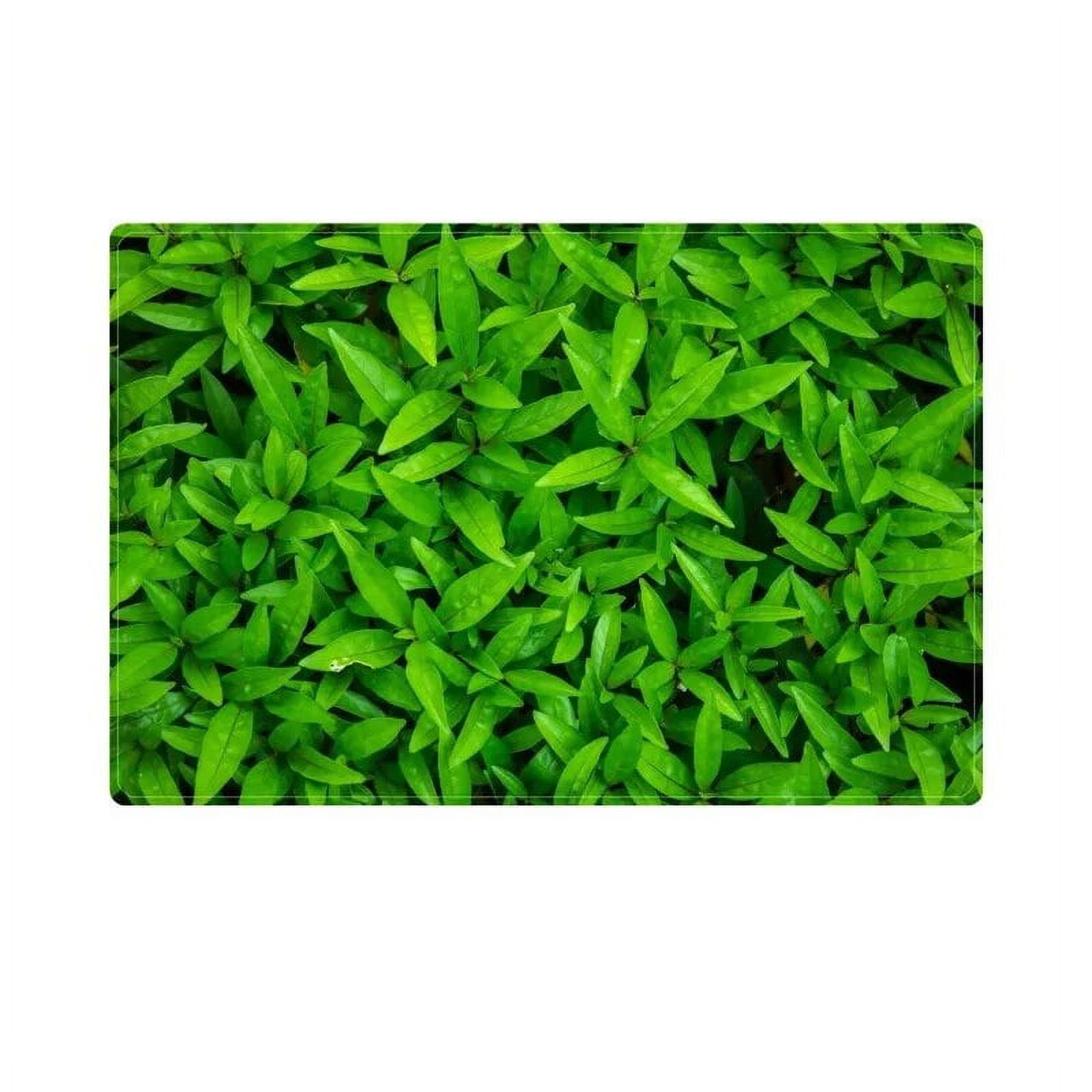 Large Carpet Green Leaves Carpet for Living Room Soft Carpets for ...