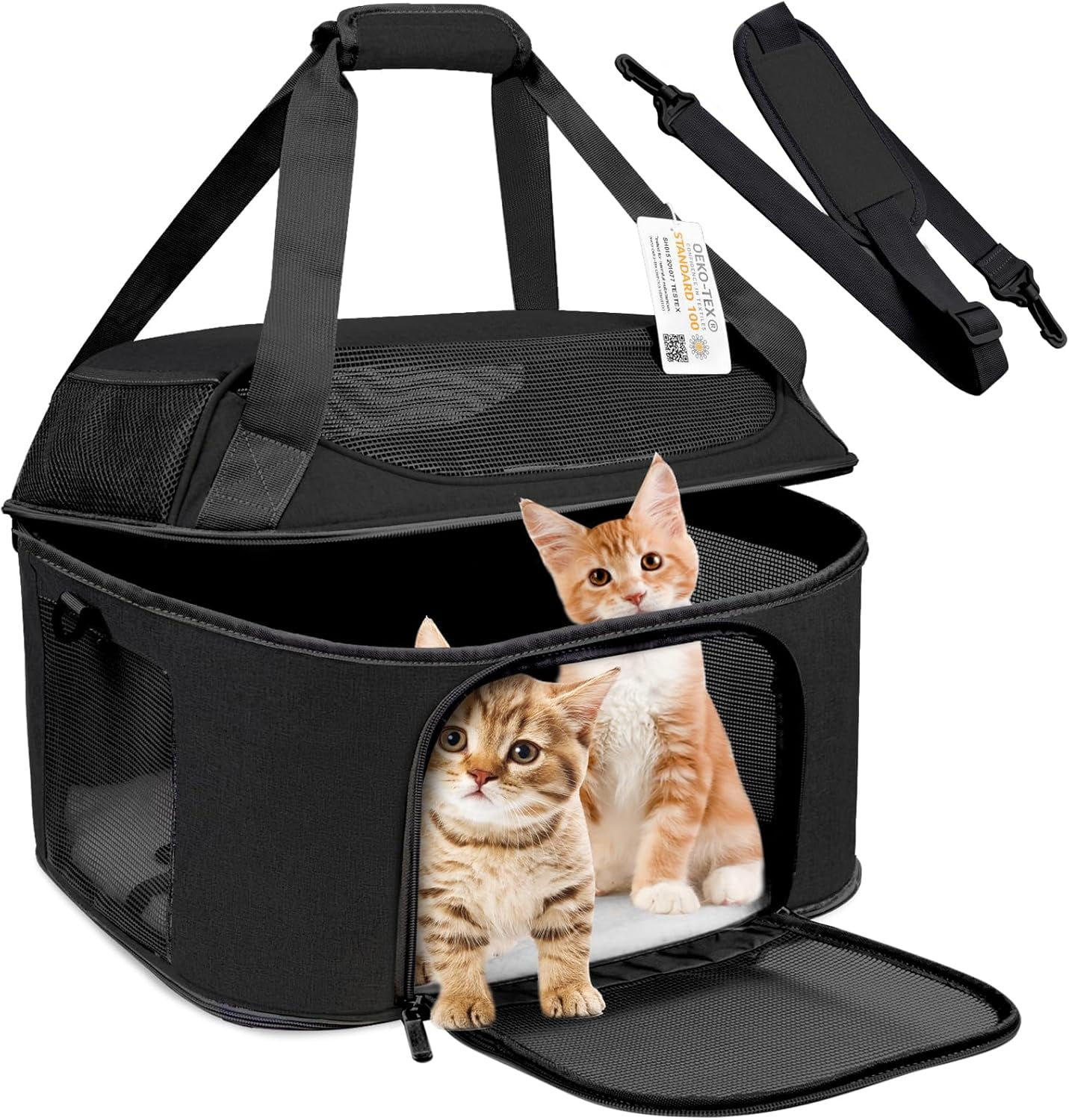 Large Cat Carrier for 2 Cats, Soft Side Carrier for Kitten Puppy ...