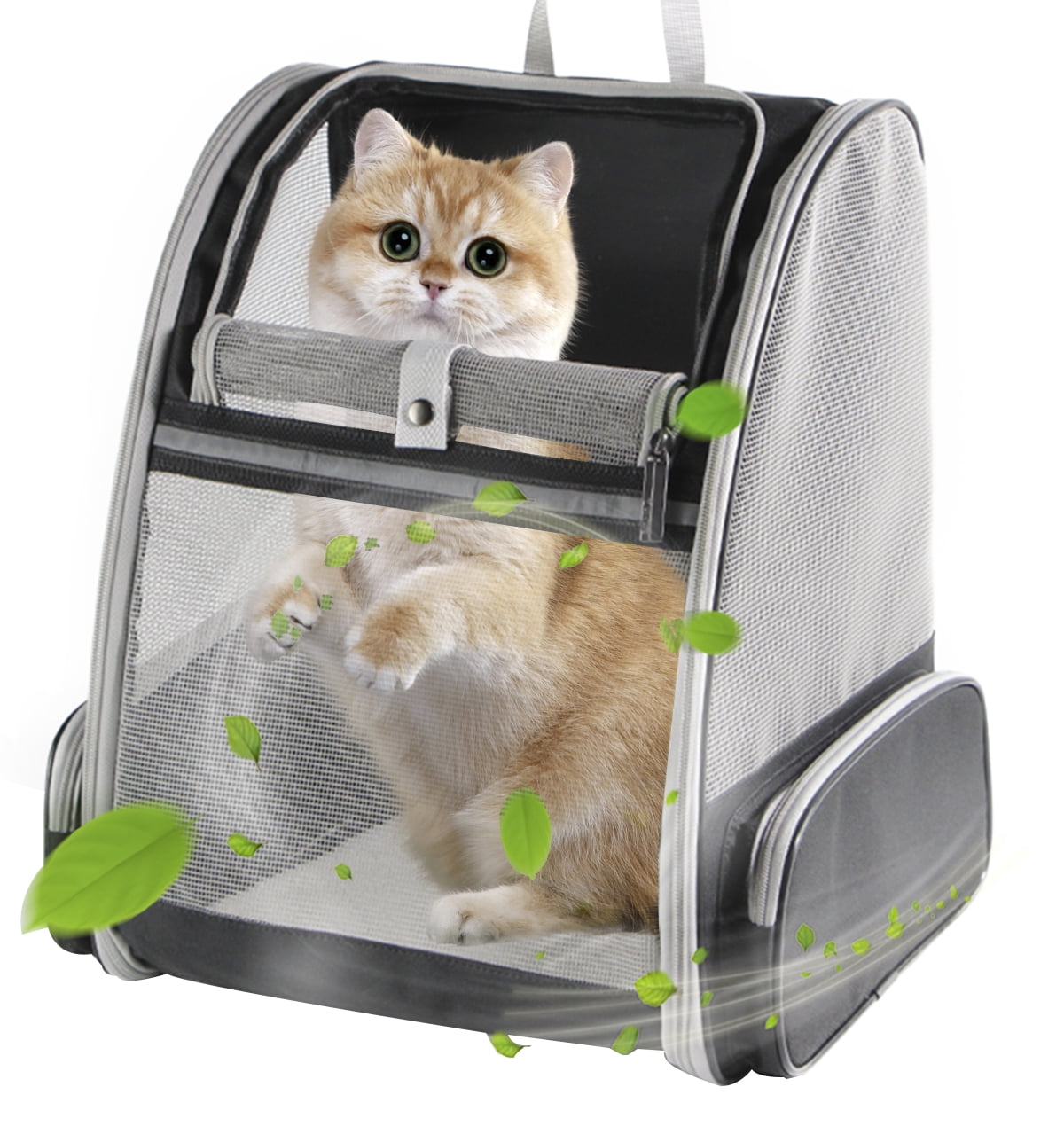 Large Cat Carrier Backpack, Pet Backpack Carrier for Small Dog Up to 16 ...