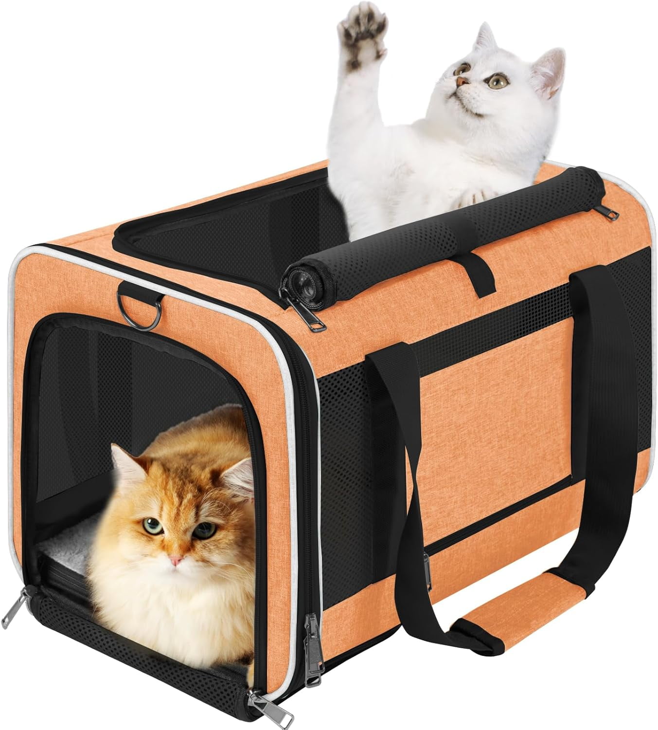 Large Cat Carry Bag, Soft Shell Shih-Tzu Pet Transport Crate, 18x12x12 ...